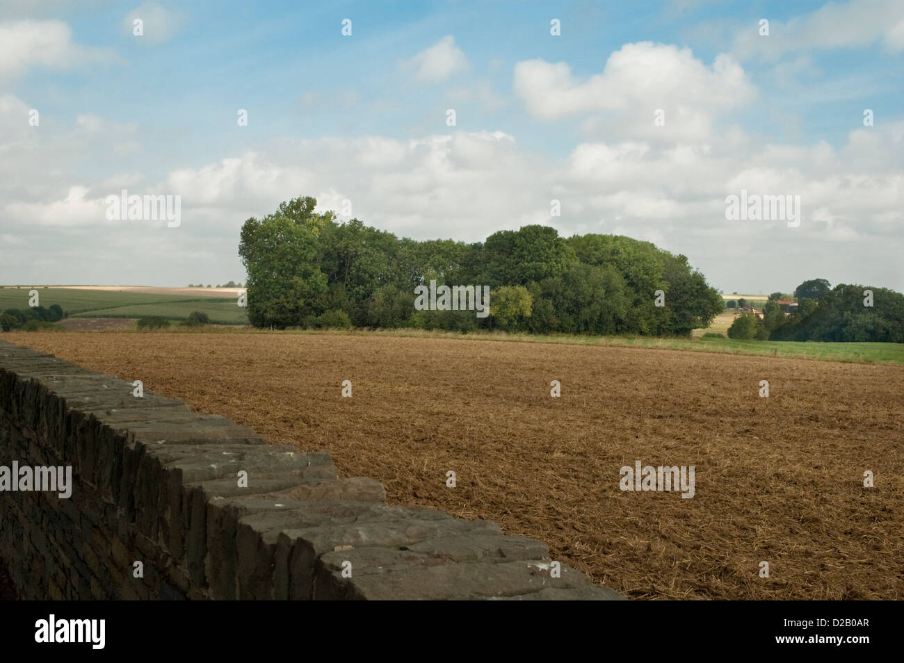 Trees which have grown in the mine crater blown on Hawthorn Ridge 1st ...