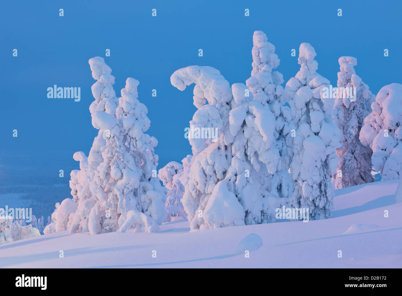 Hill trees deep winter hi-res stock photography and images - Alamy