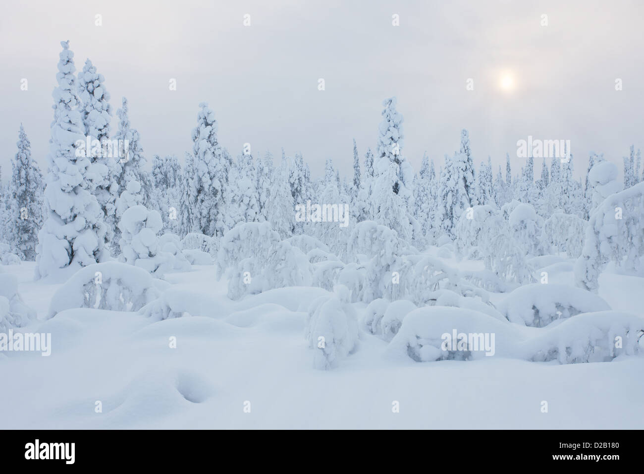 Winter scene in Lapland Stock Photo - Alamy