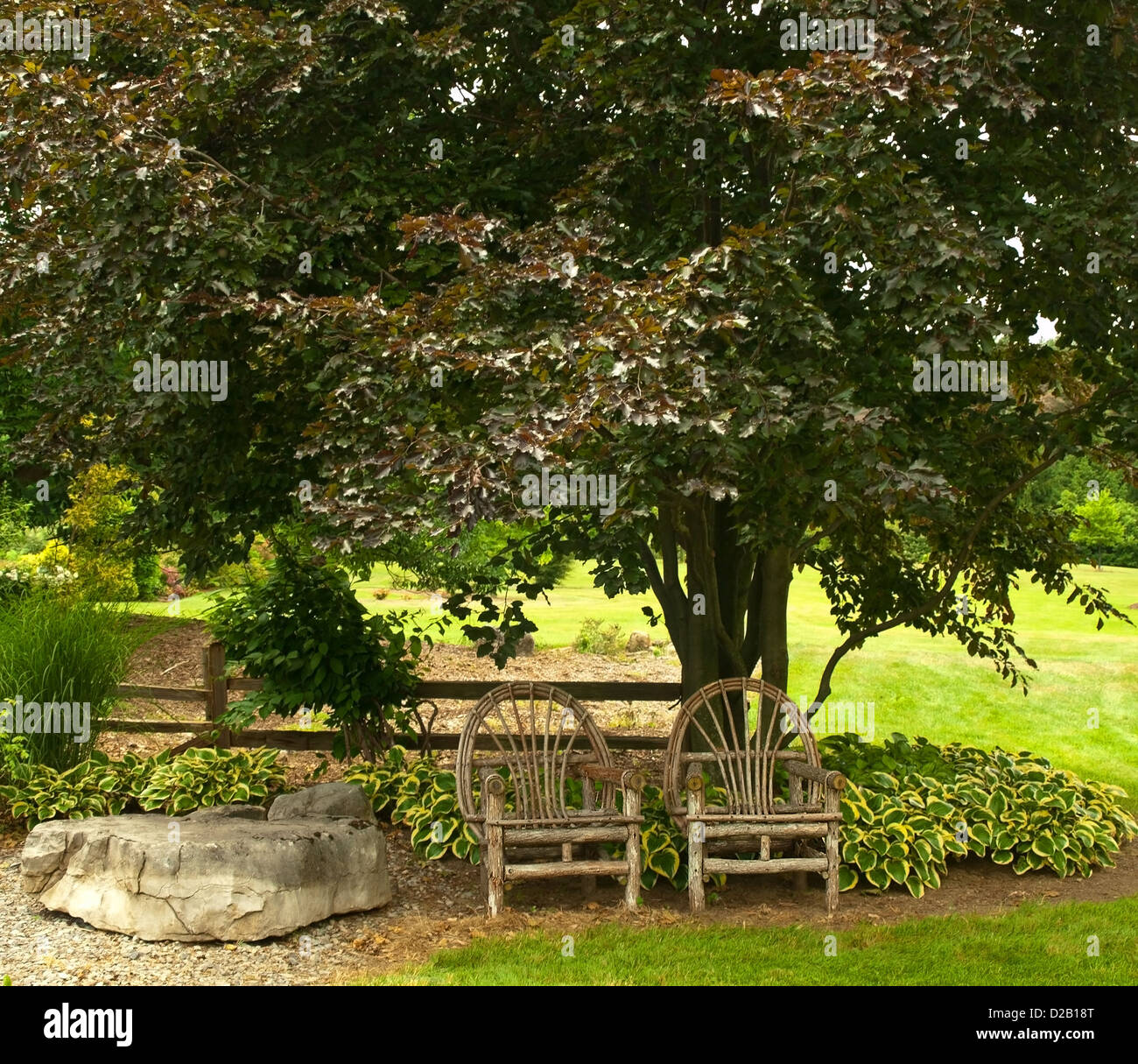 two wicker-like chairs in the shade of a Japanese red maple tree Stock ...