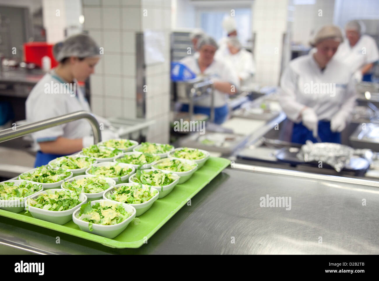 Gourmet Hospital Food