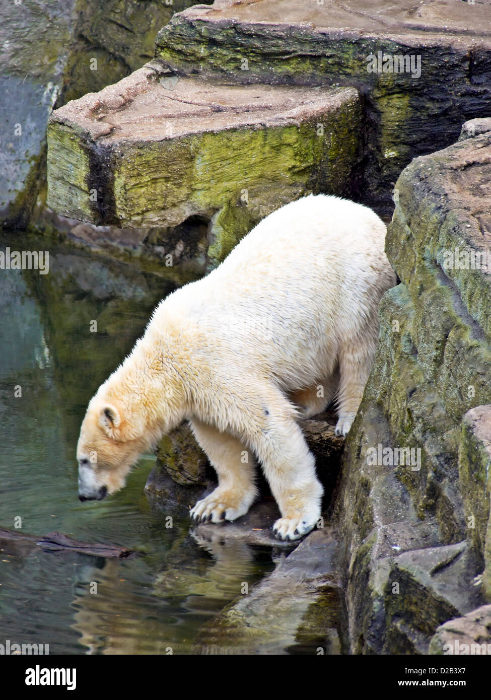 -Schönbrunn Zoo Park- Vienna (Austria Stock Photo - Alamy