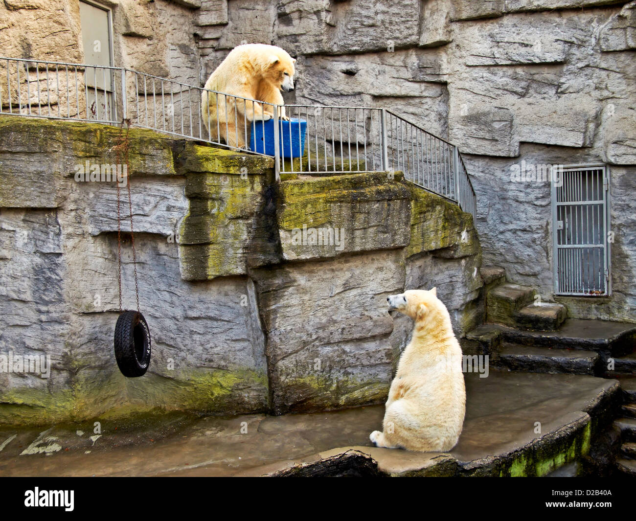 -Schönbrunn Zoo Park- Vienna (Austria Stock Photo - Alamy