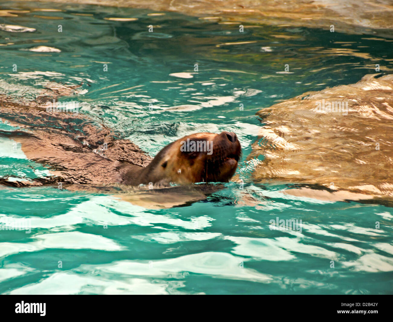-Schönbrunn Zoo Park- Vienna (Austria Stock Photo - Alamy