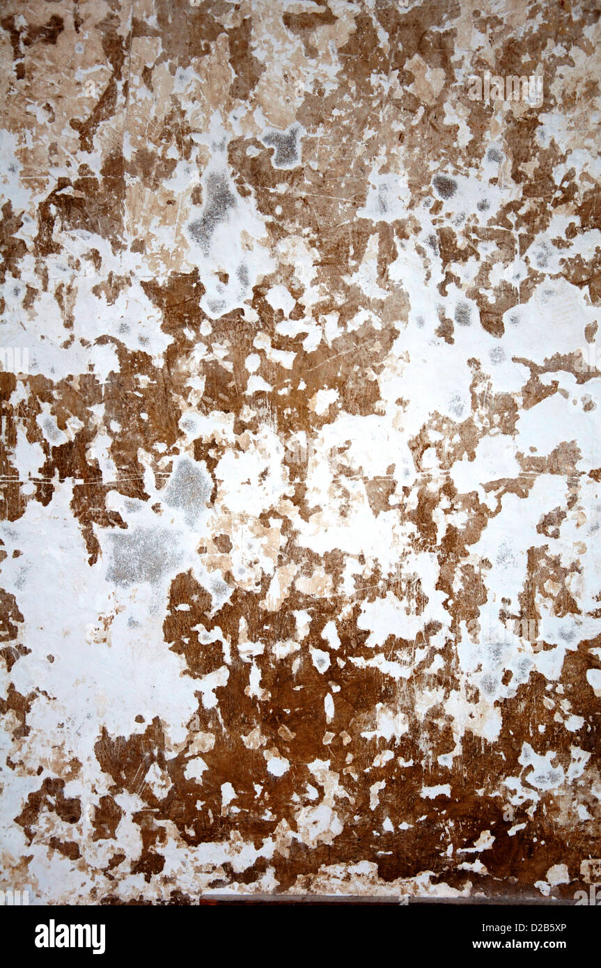 Motley wall hi-res stock photography and images - Alamy