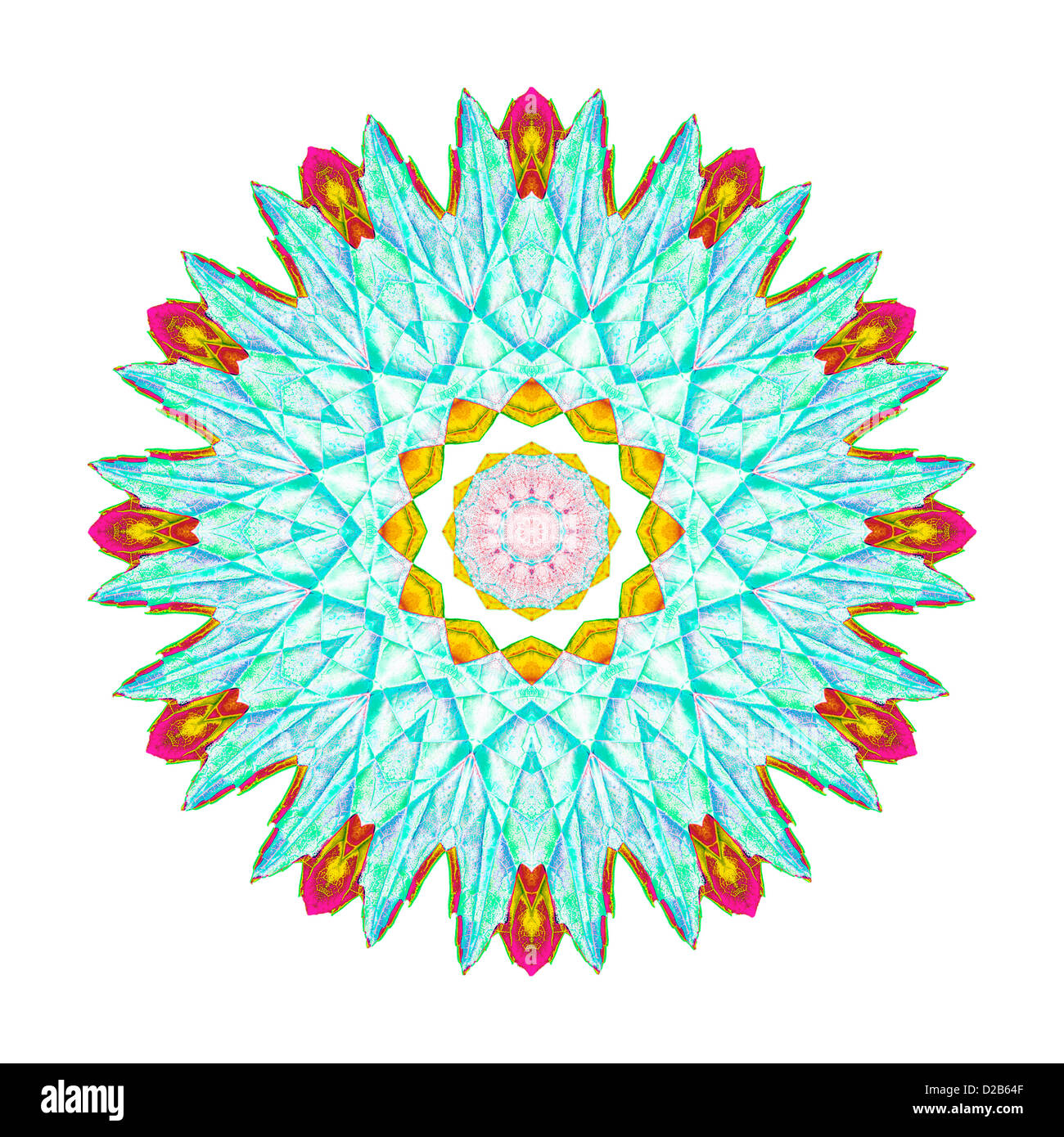 Striking geometric and textural leaf and flower star design Stock Photo ...