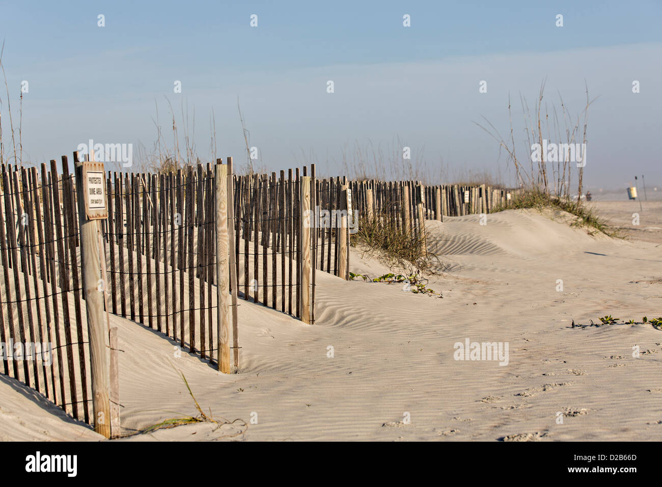 Sand fence to rebuild the dunes on St Augustine Beach, Florida Stock ...