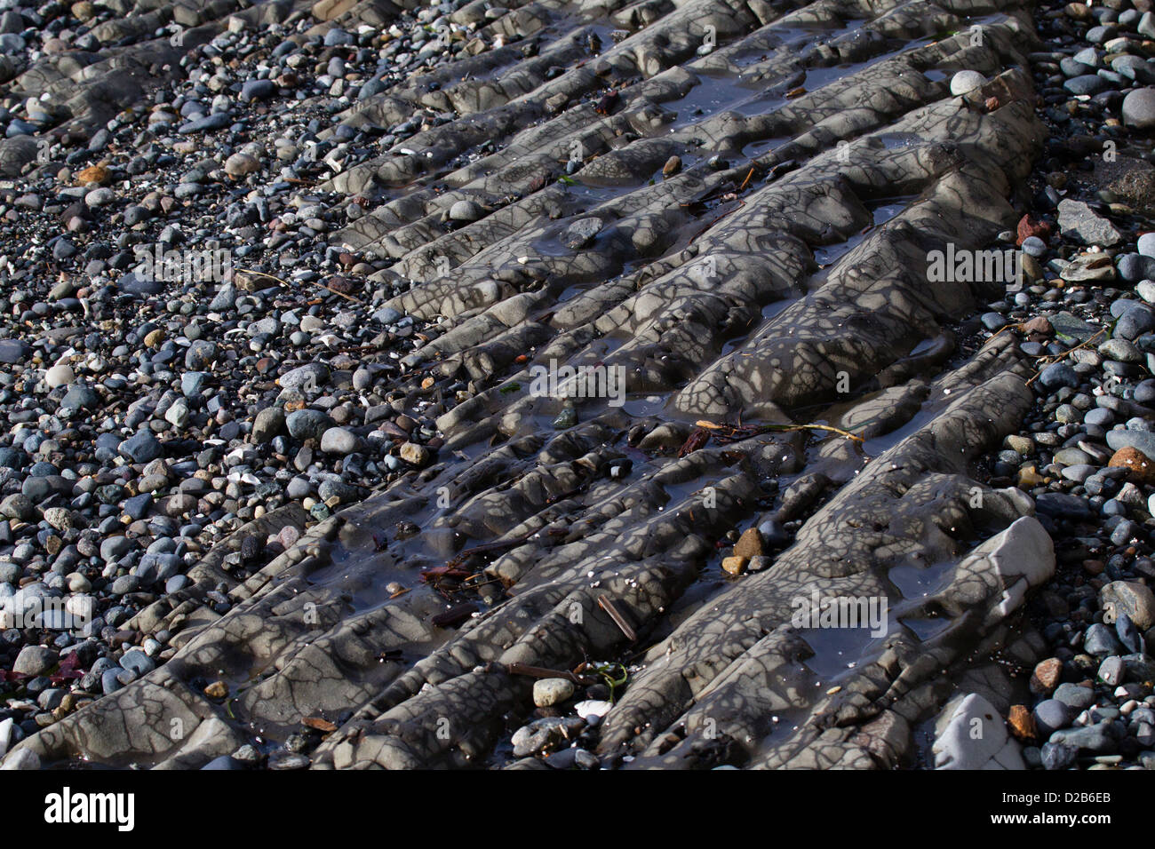 Rock Patterns, Puget Sound, Seattle, Washington Stock Photo - Alamy