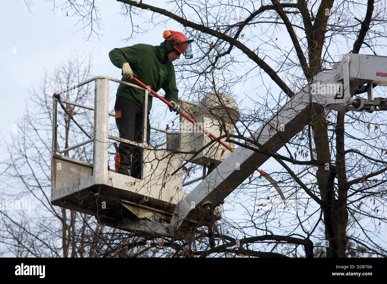 Winter trimming trees hi-res stock photography and images - Alamy