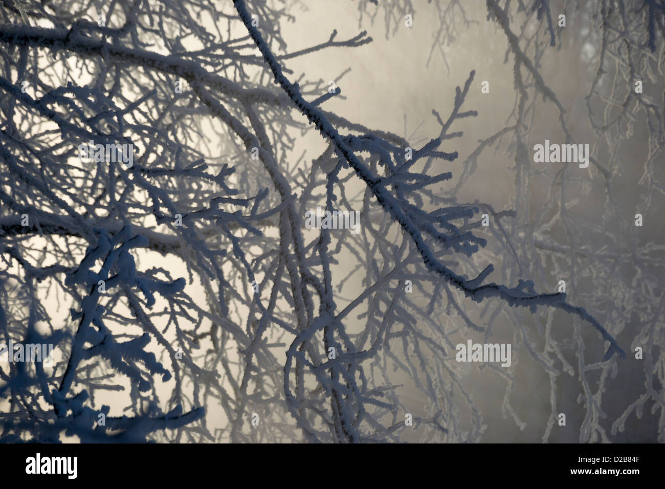 Freezing January in Hollola Finland Stock Photo - Alamy