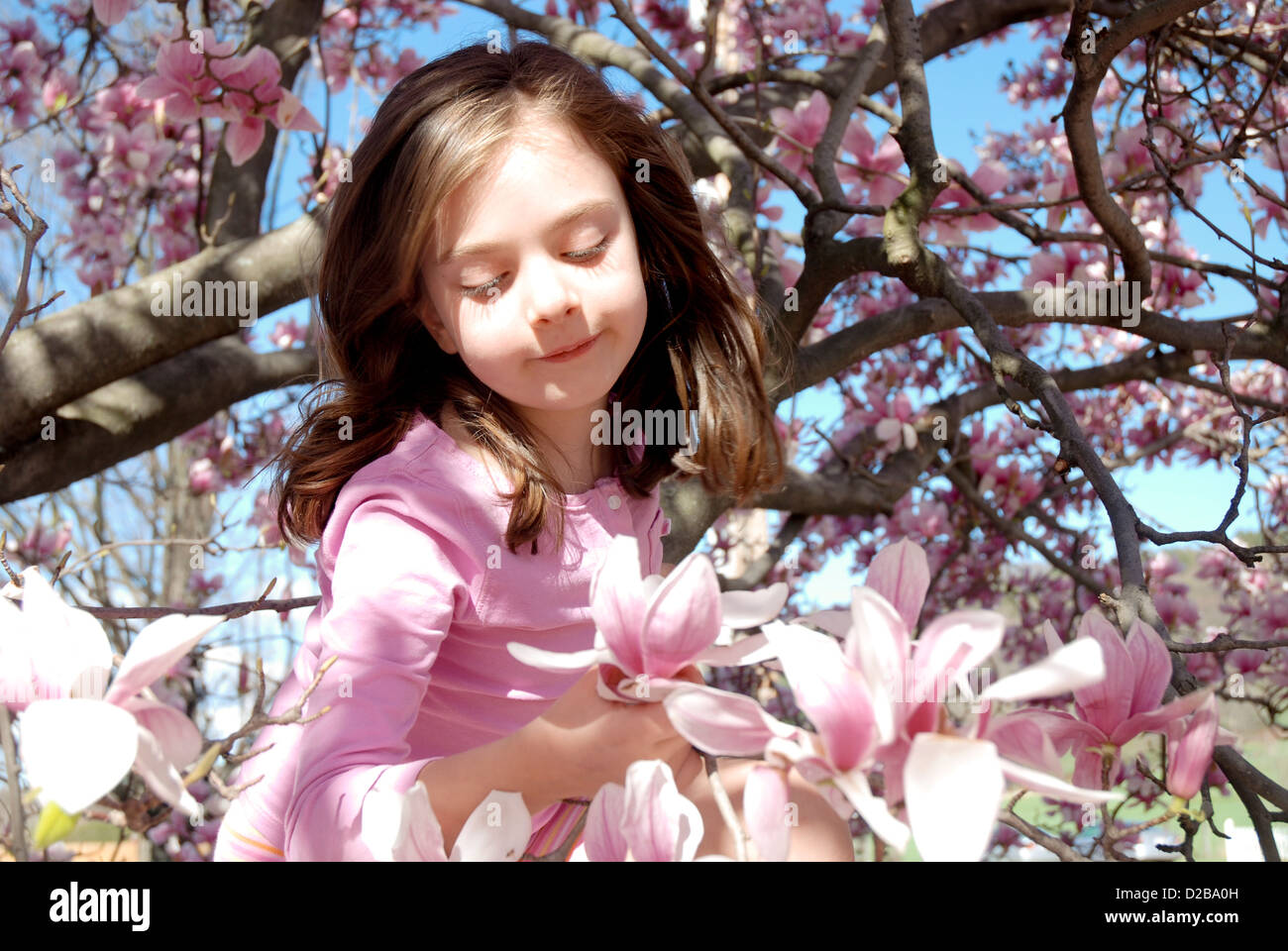 8 Year Old Girl With Blooming Magnolia Tree Stock Photo - Alamy