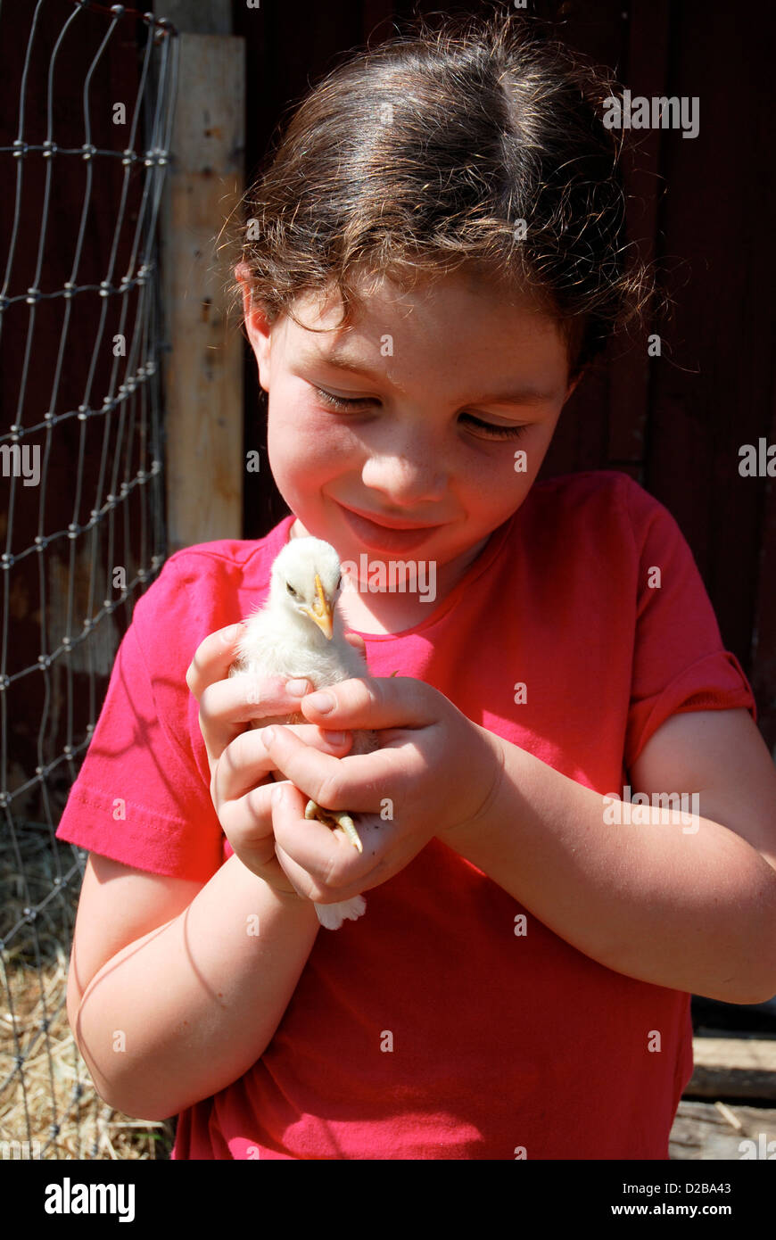Children baby animals hi-res stock photography and images - Alamy