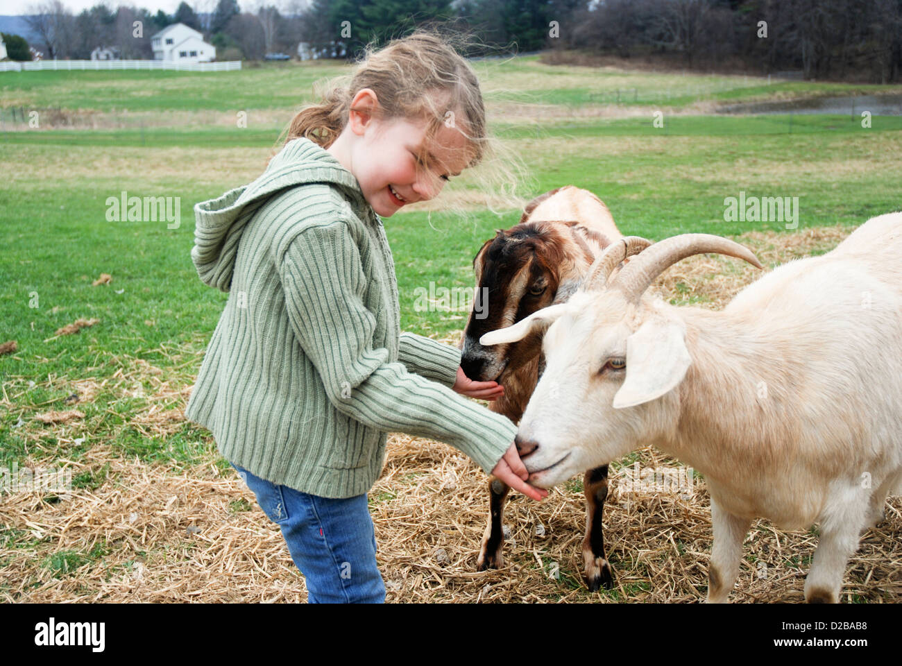 3 animals hi-res stock photography and images - Alamy