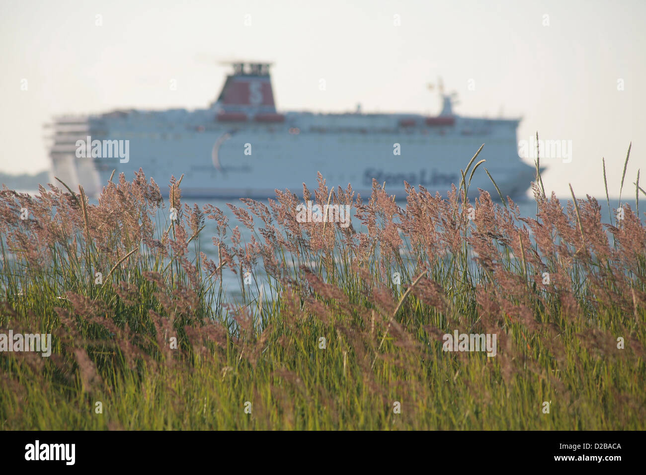 Laboe, Germany, the Stena Germanica in Kieler Foerde Stock Photo - Alamy