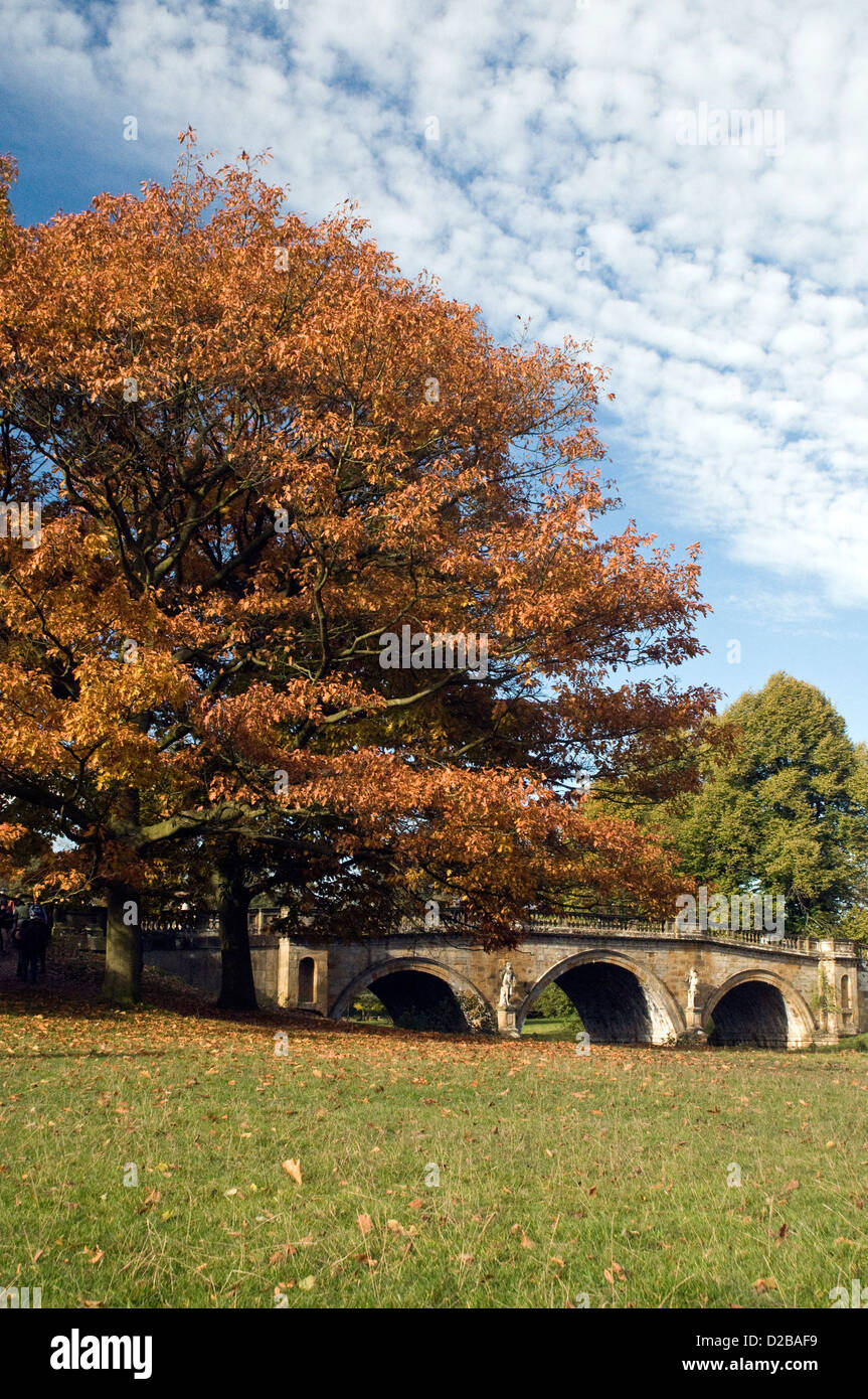 color of Autumn in Derbyshire Stock Photo - Alamy