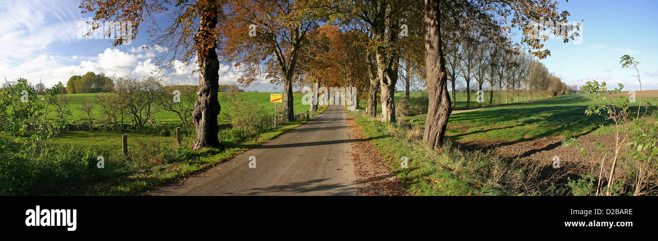 Siggen, Germany, with the sign of autumn avenue Siggen Stock Photo - Alamy