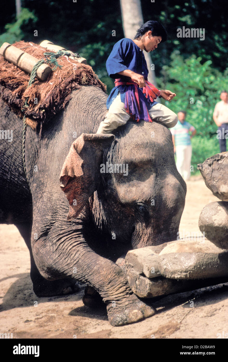 Riding general hi-res stock photography and images - Alamy