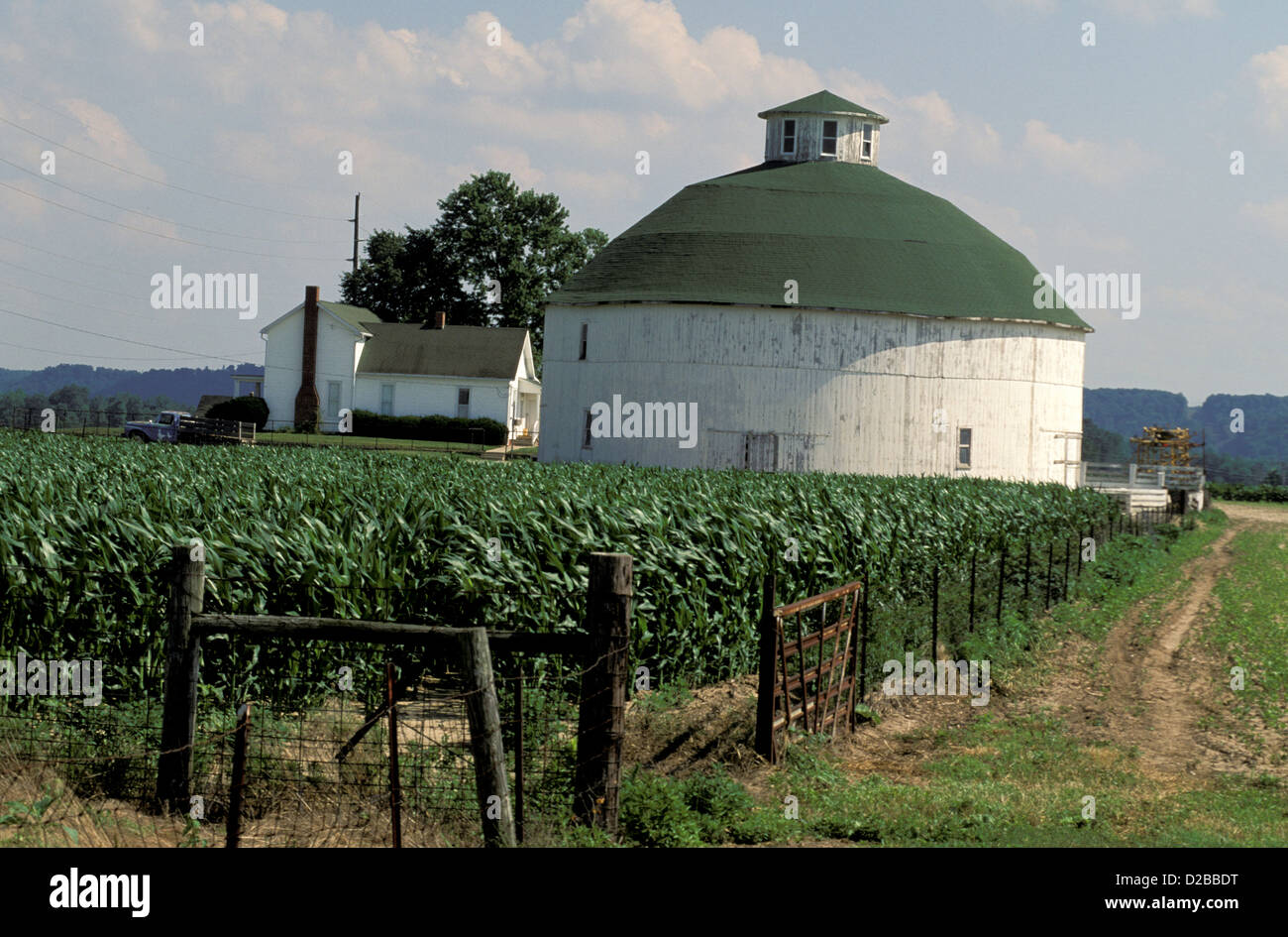 Indiana corn field landscape hi-res stock photography and images - Alamy
