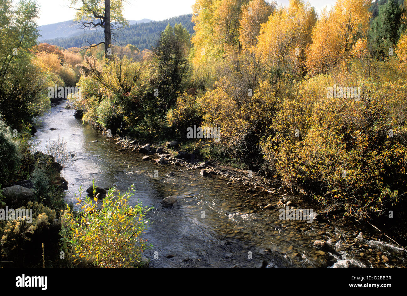 New Mexico. Chama River In Autumn Stock Photo - Alamy