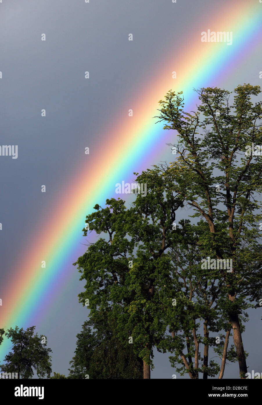 Chantilly, France, rainbow over trees Stock Photo - Alamy