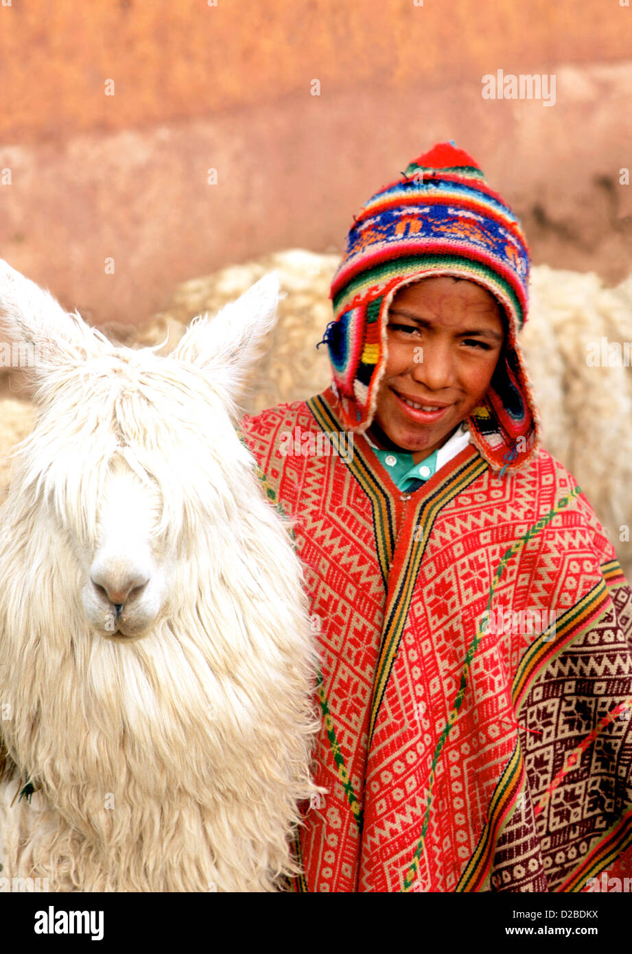 Peru, Cuzco. Peruvian Boy With Llamas Stock Photo - Alamy