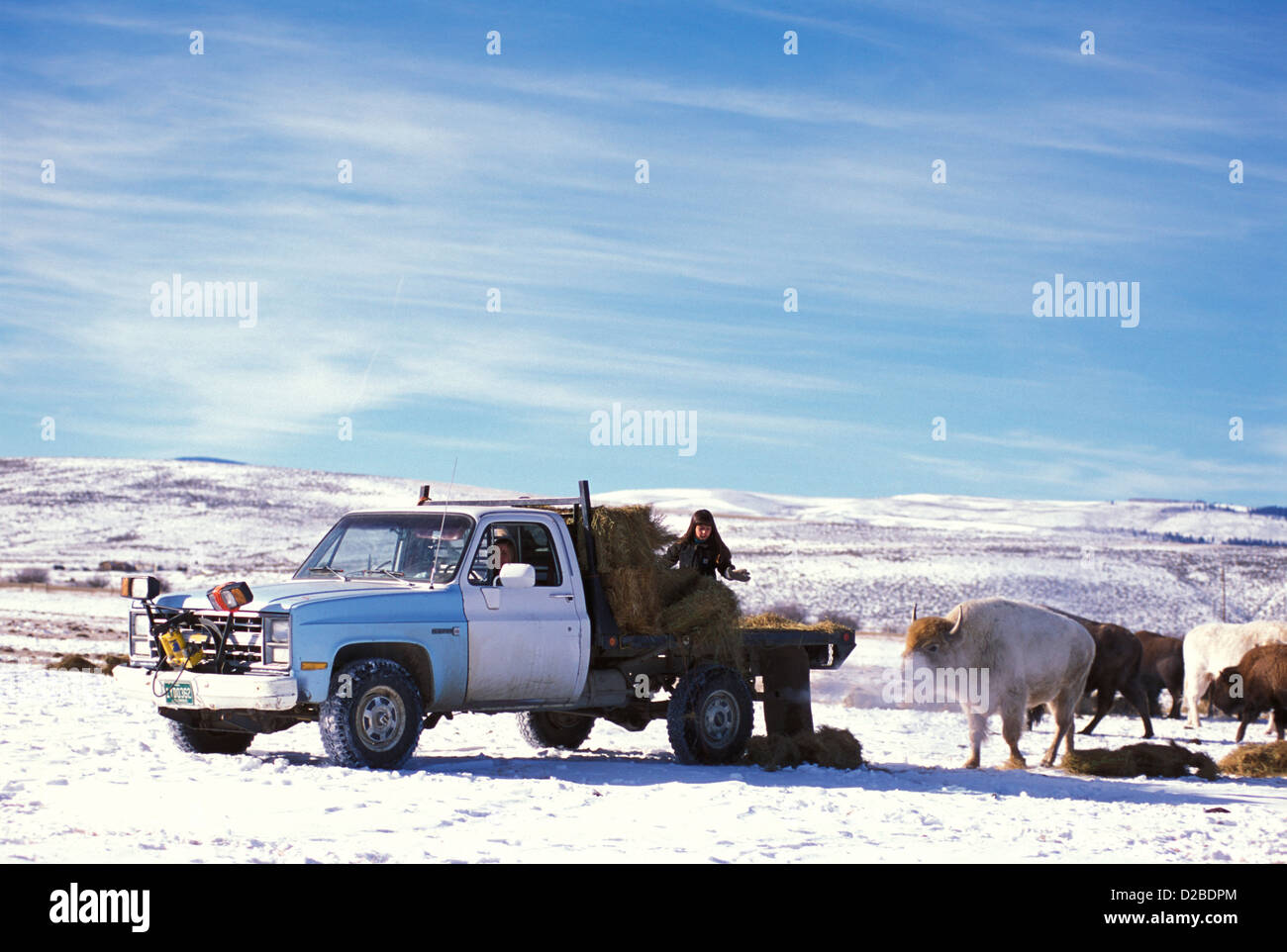 Misc animals hi-res stock photography and images - Alamy