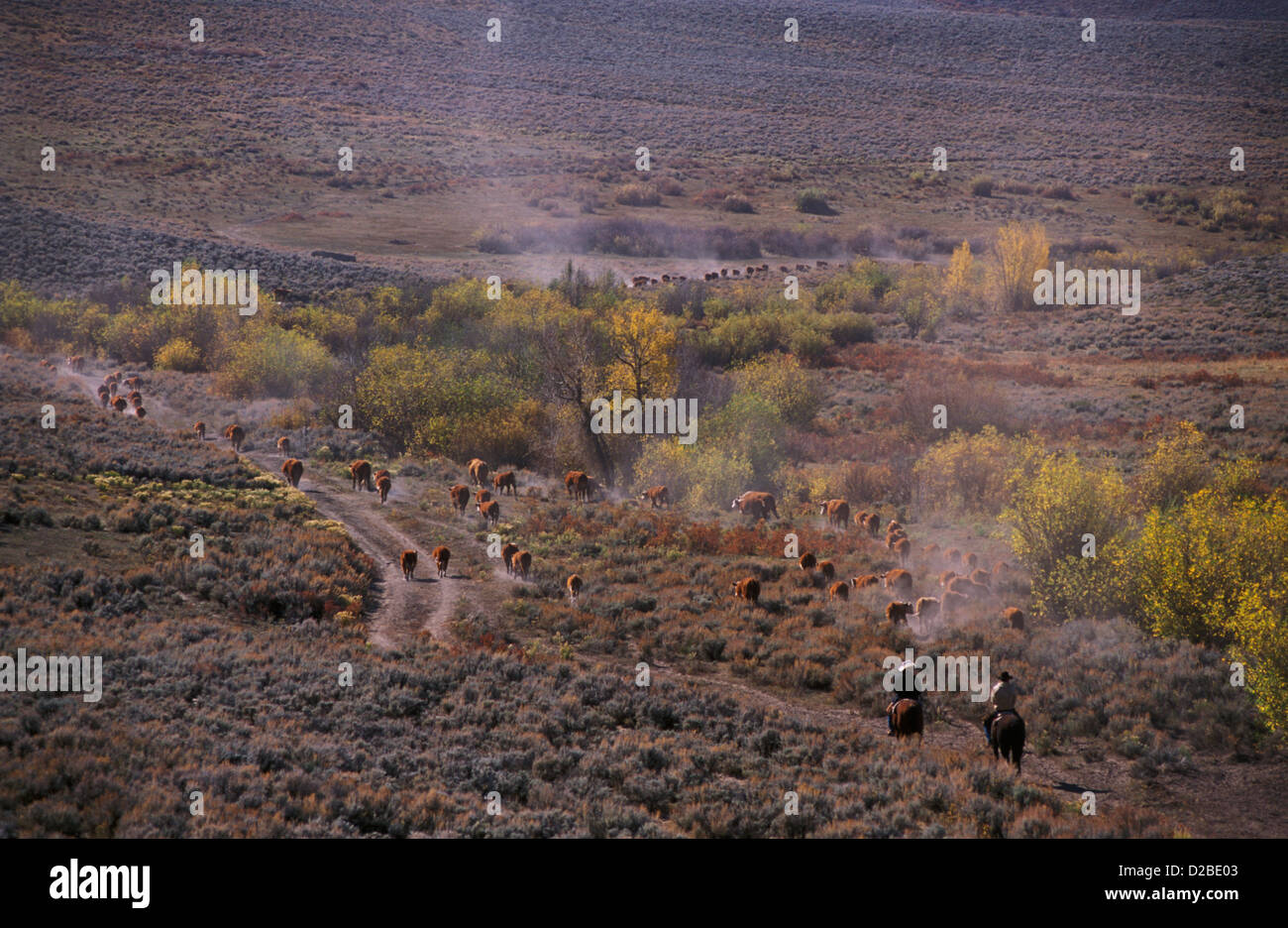 Colorado ranchers hi-res stock photography and images - Alamy