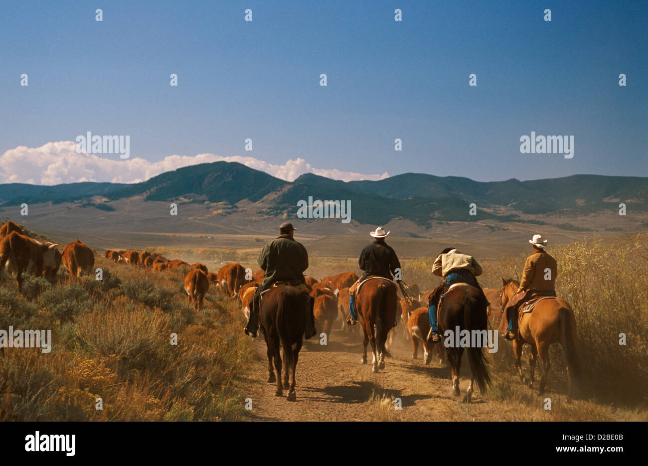 Colorado ranchers hi-res stock photography and images - Alamy