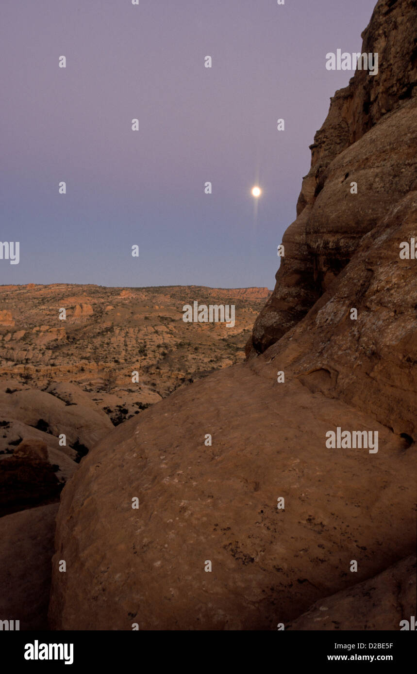 Portrait moon hi-res stock photography and images - Alamy