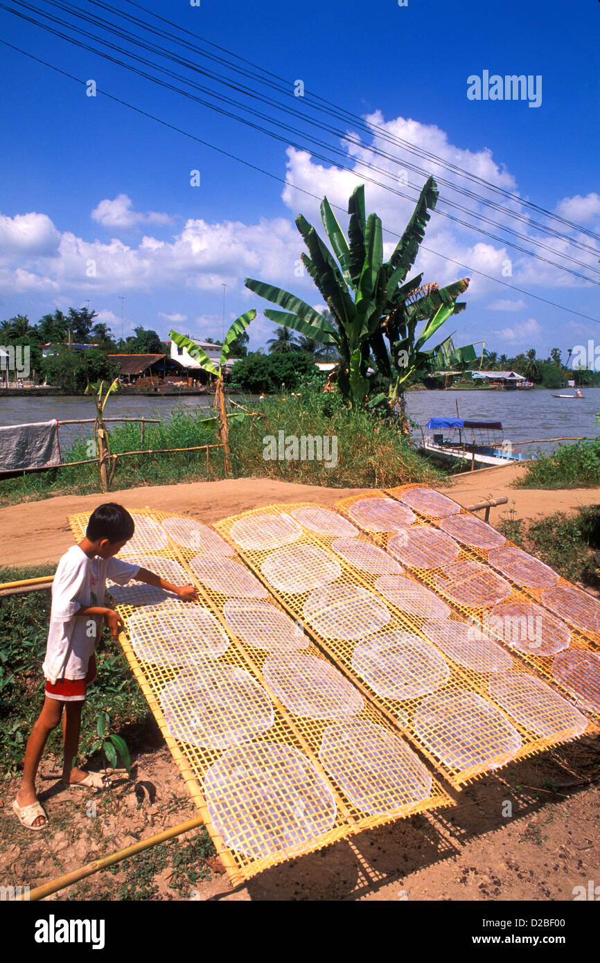 Vietnam, Mekong Delta. Young Boy Drying Rice Paper Stock Photo - Alamy