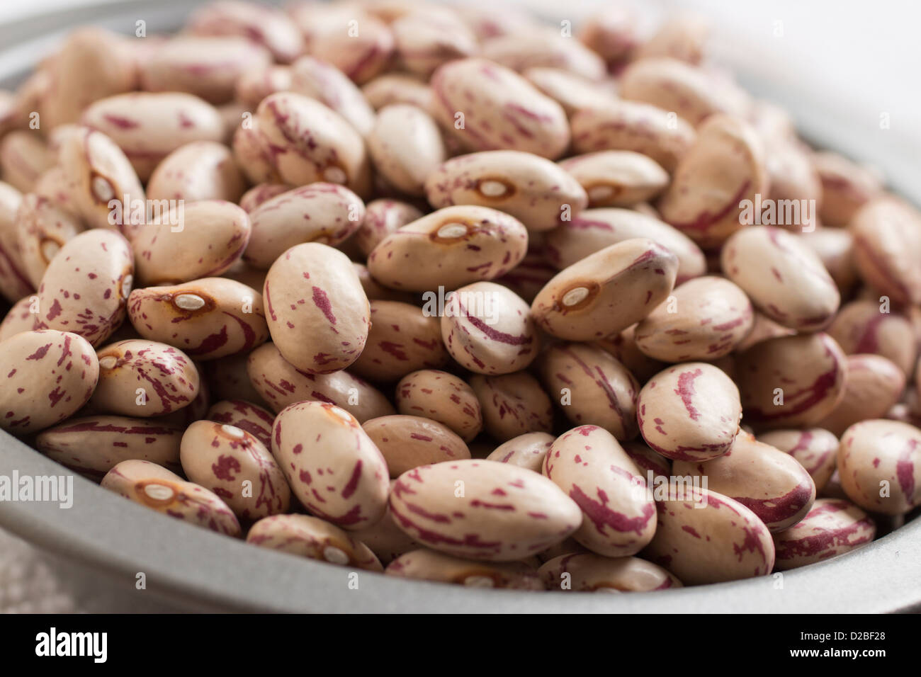 Cranberry beans also known as Roman Beans Stock Photo - Alamy