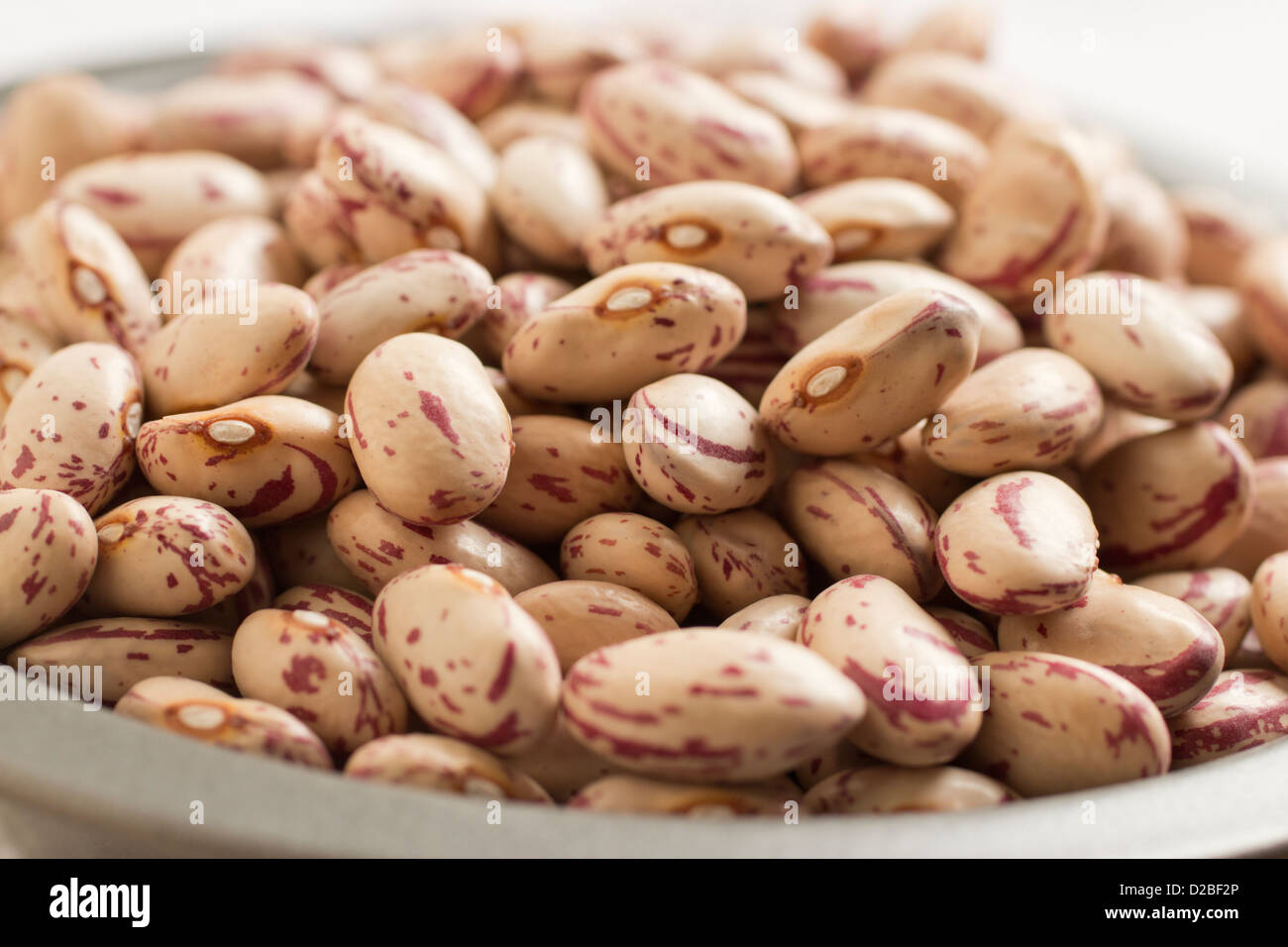 Cranberry beans also known as Roman Beans Stock Photo - Alamy