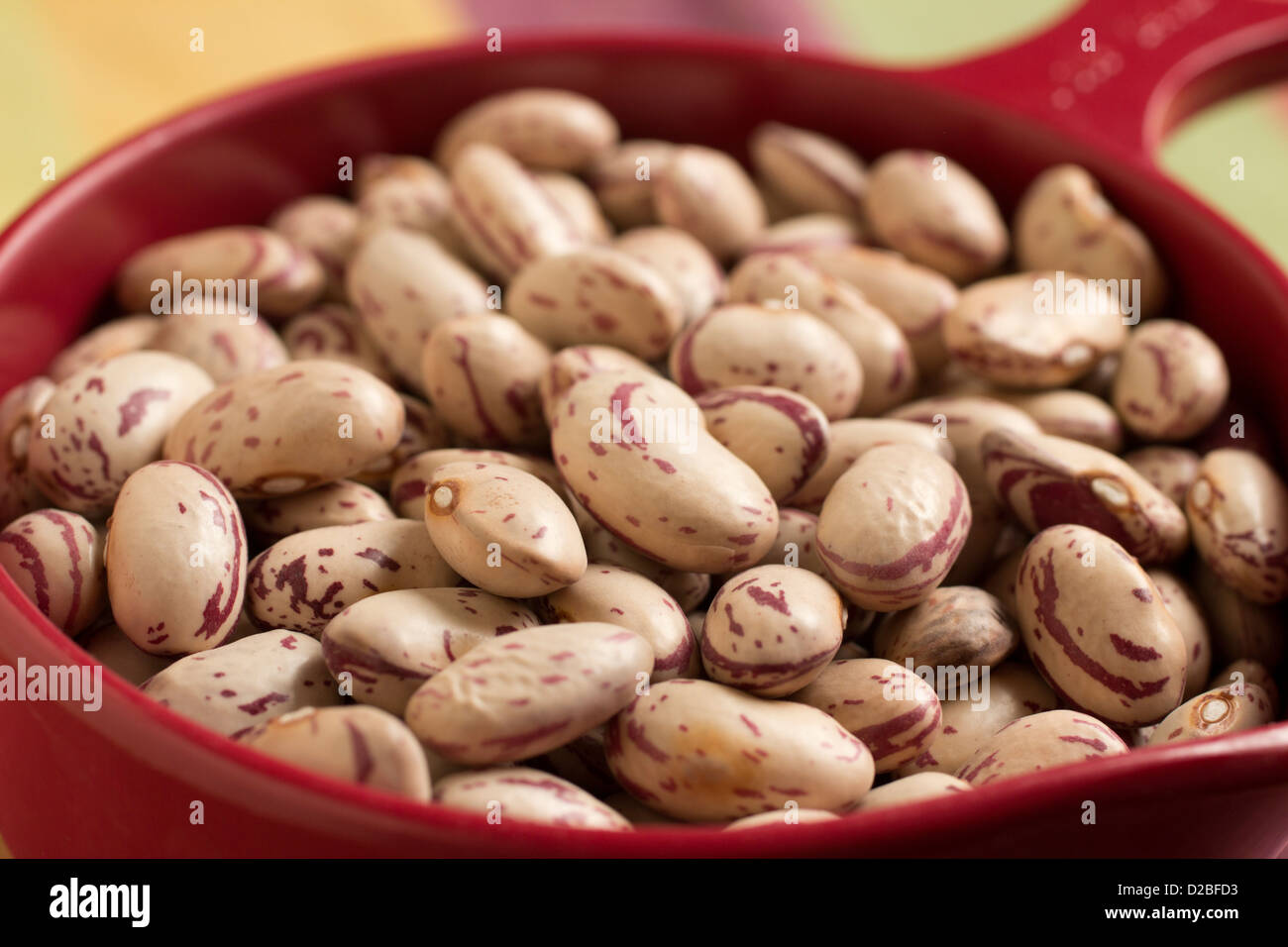 Cranberry beans also known as Roman Beans Stock Photo - Alamy