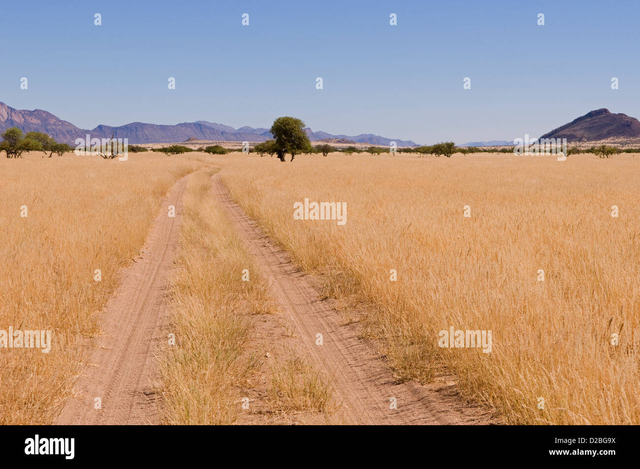 Tracks in The Marienfluss Namibia Stock Photo - Alamy
