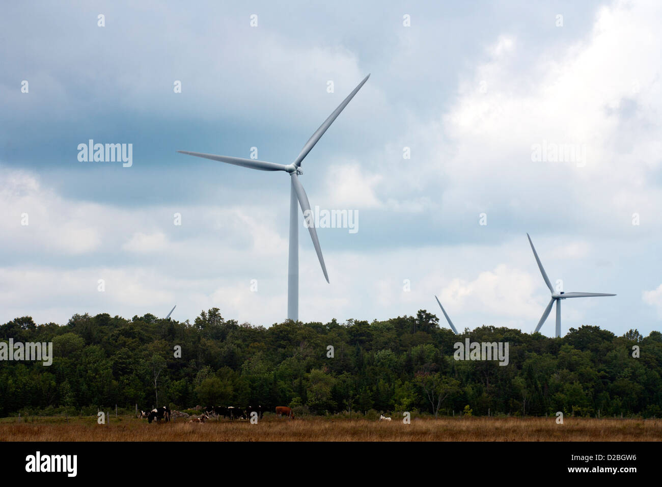 Wind turbine farm in upper New York State, USA Stock Photo - Alamy