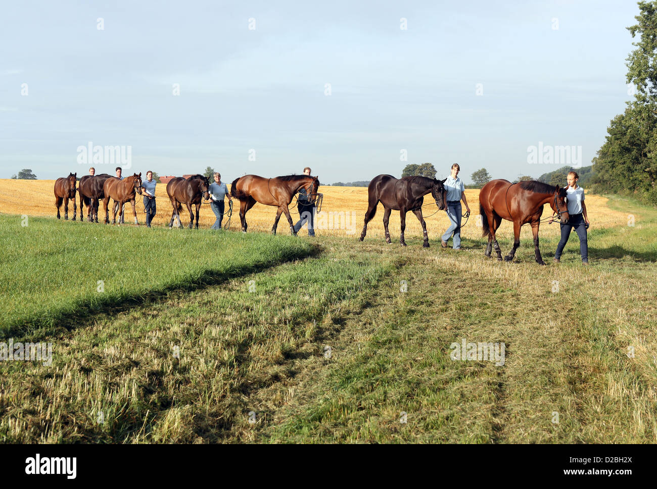 Ascheberg westfalen hi-res stock photography and images - Alamy