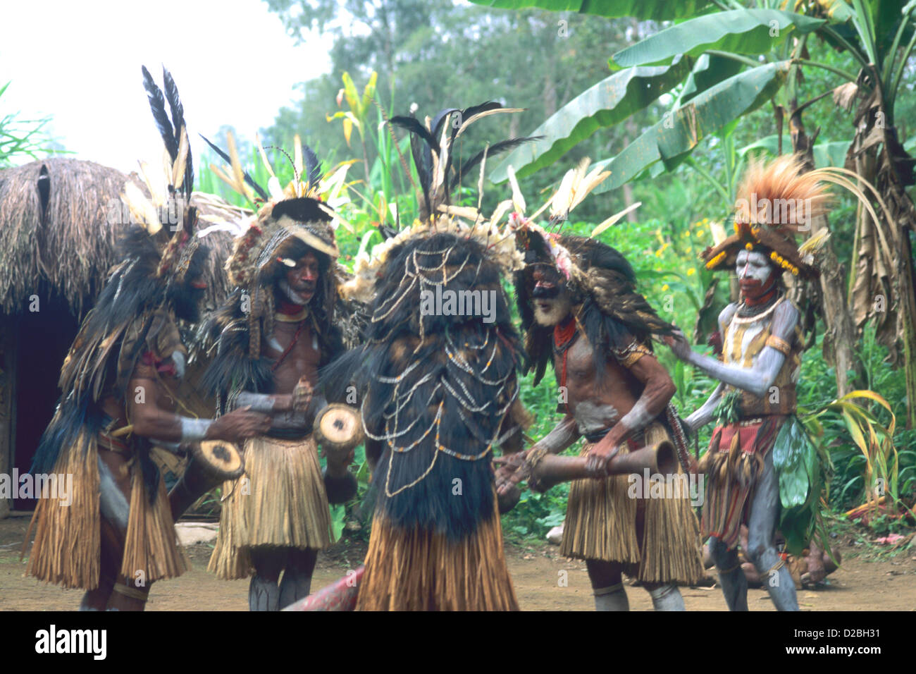 Papua New Guinea. Huli Wigmen Dancing Stock Photo - Alamy