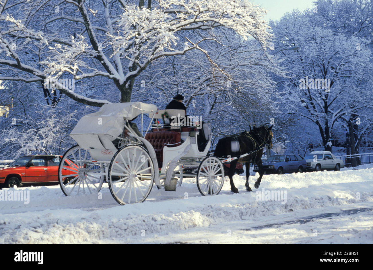 New york city central park hansom cab in snow hi-res stock photography ...