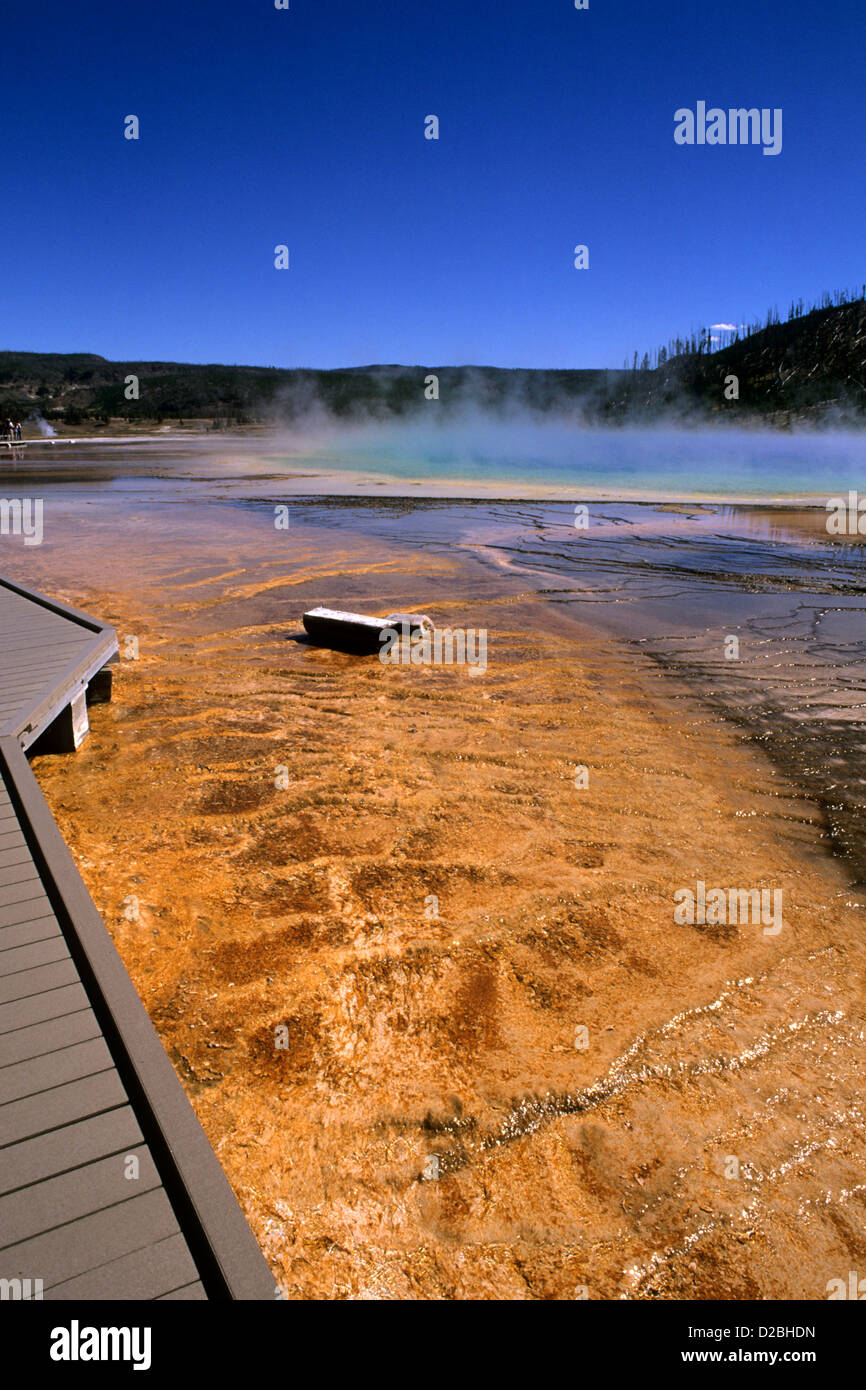 Wyoming, Yellowstone National Park. Grand Prismatic Spring Stock Photo ...