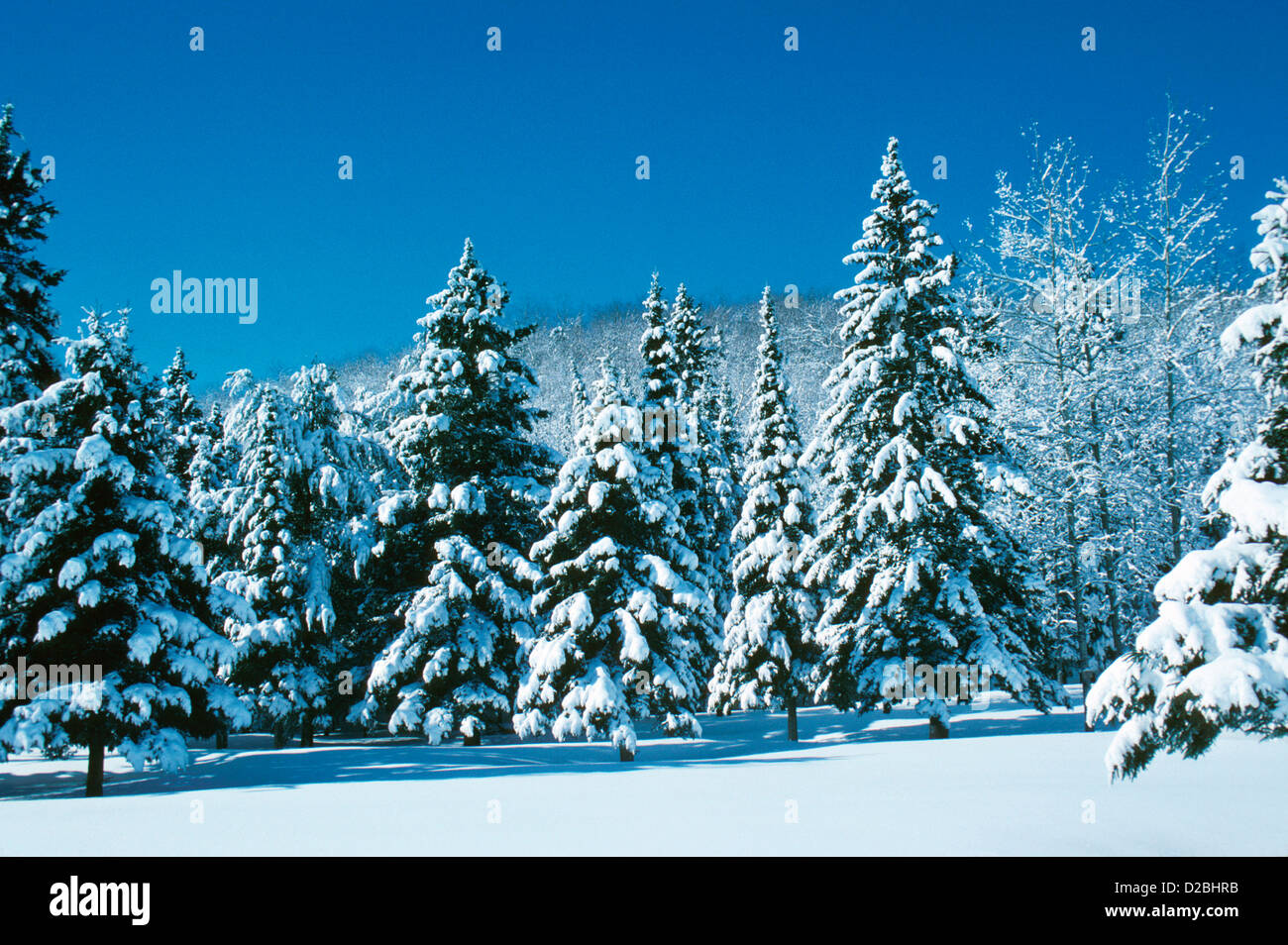 Canada laurentian mountains autumn hi-res stock photography and images ...