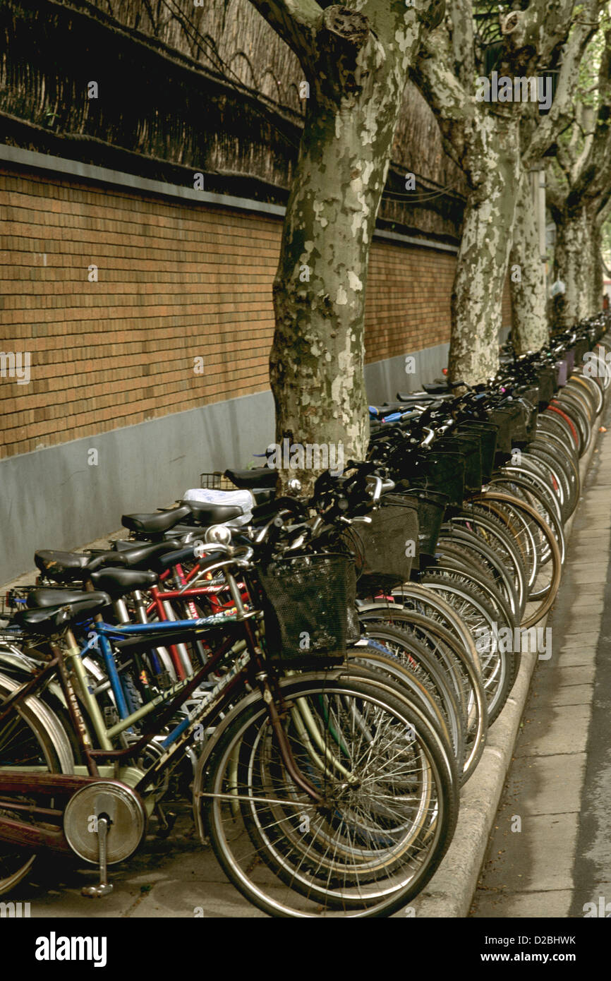 China, Shanghai. Bicycles Stock Photo - Alamy