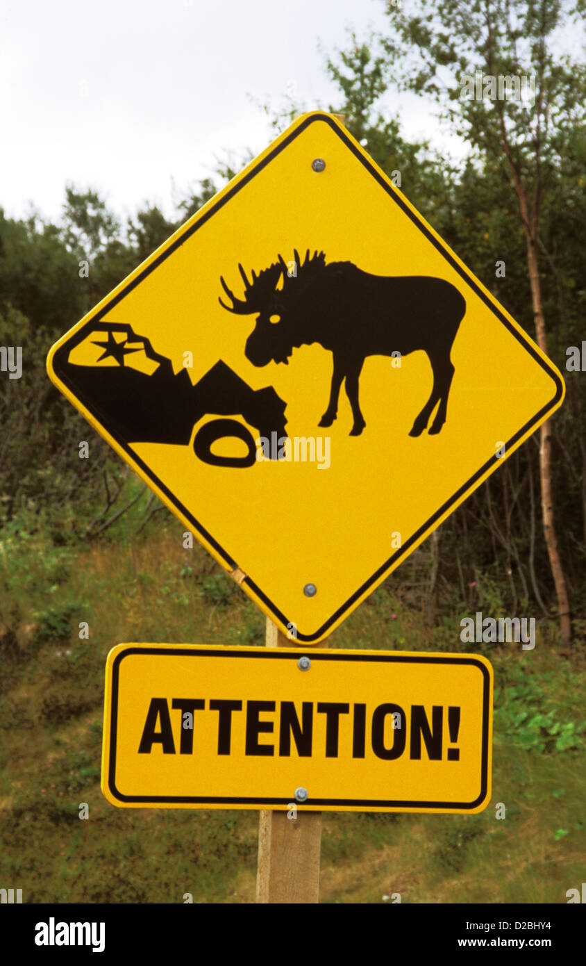 Newfoundland moose road sign hi-res stock photography and images - Alamy