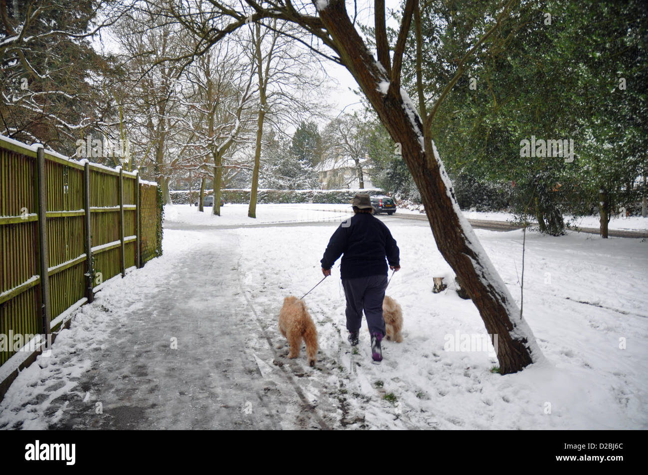 Out walking in the snow at Ascot, Berkshire Stock Photo - Alamy