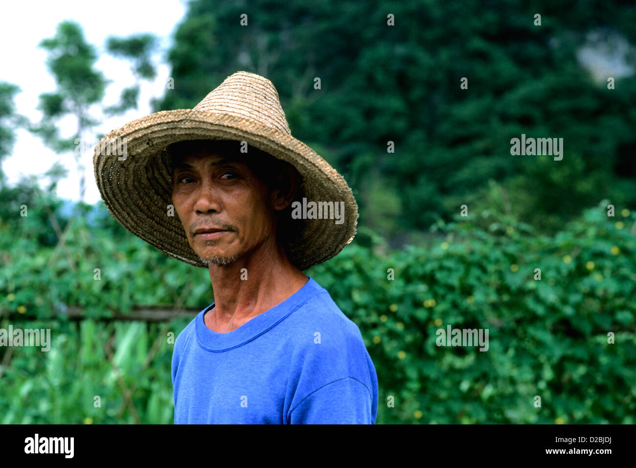Guiling hi-res stock photography and images - Alamy