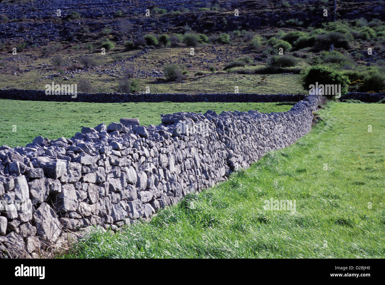 Ireland, County Claire. Stone Walls In The Burren Region Stock Photo ...