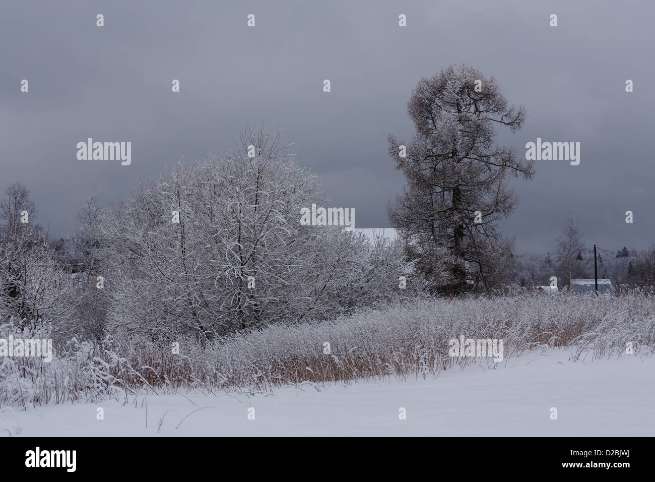 Before the snow hi-res stock photography and images - Alamy