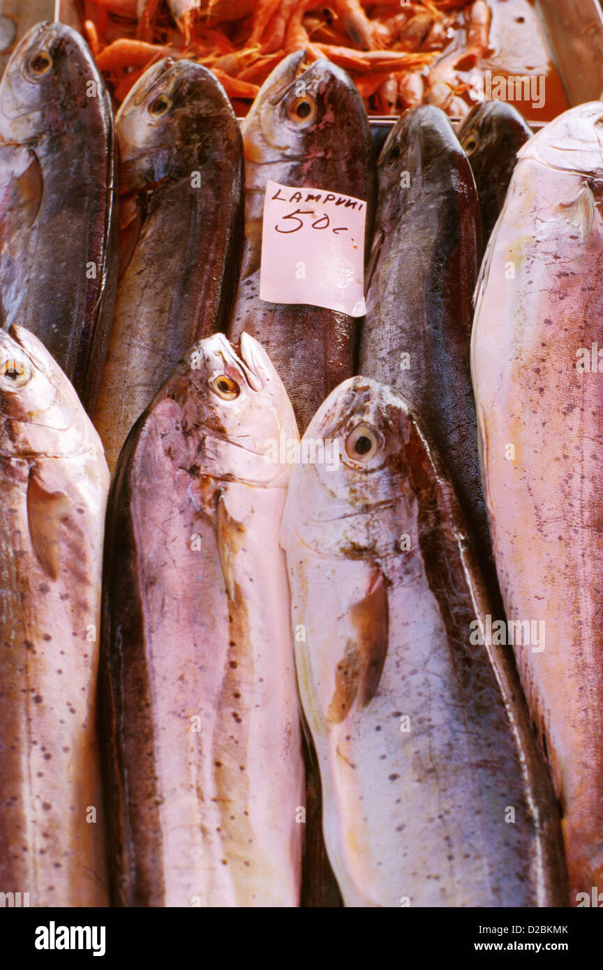 Malta marsaxlokk lampuki sunday morning fish hi-res stock photography ...