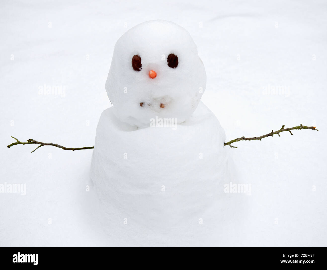 A snowman with a carrot nose and twig arms in a garden Stock Photo - Alamy