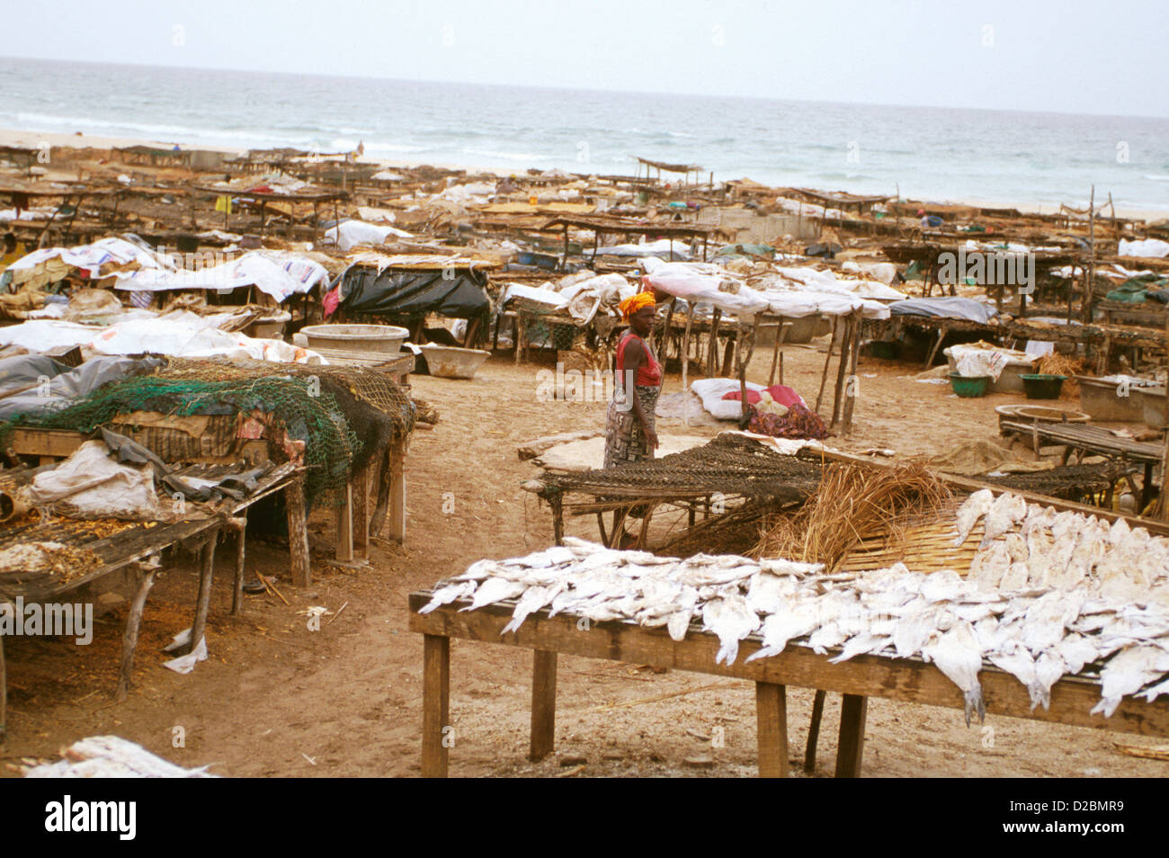 Senegal, M’Bour Region. Curing Fish, Senegal Woman Stands Among Tables ...