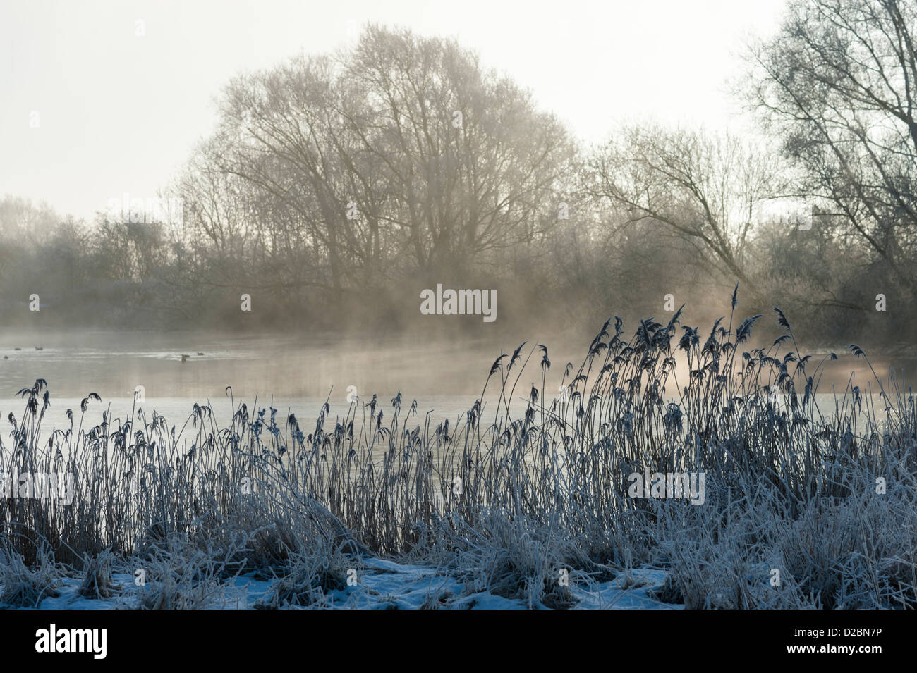 Fen drayton lakes winter hi-res stock photography and images - Alamy